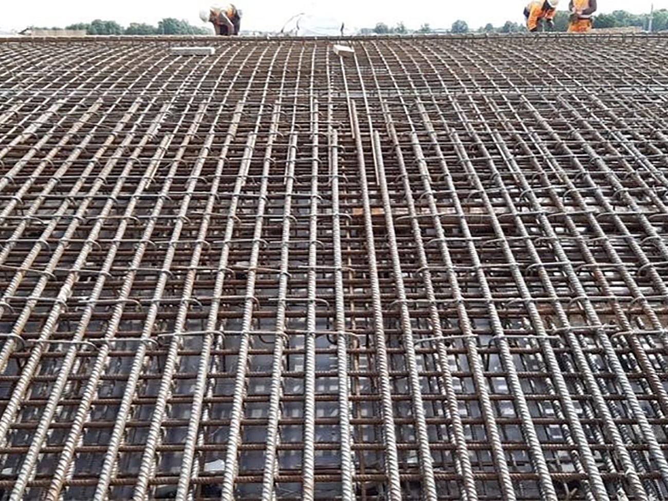 650 tons of reinforcement for five structures